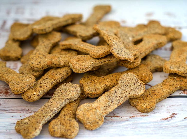 Come Insegnare Al Cane a Fare i Bisogni Sulla Traversina