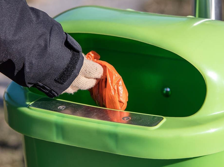 Dove Si Butta La Cacca Del Cane: Soluzioni Efficaci